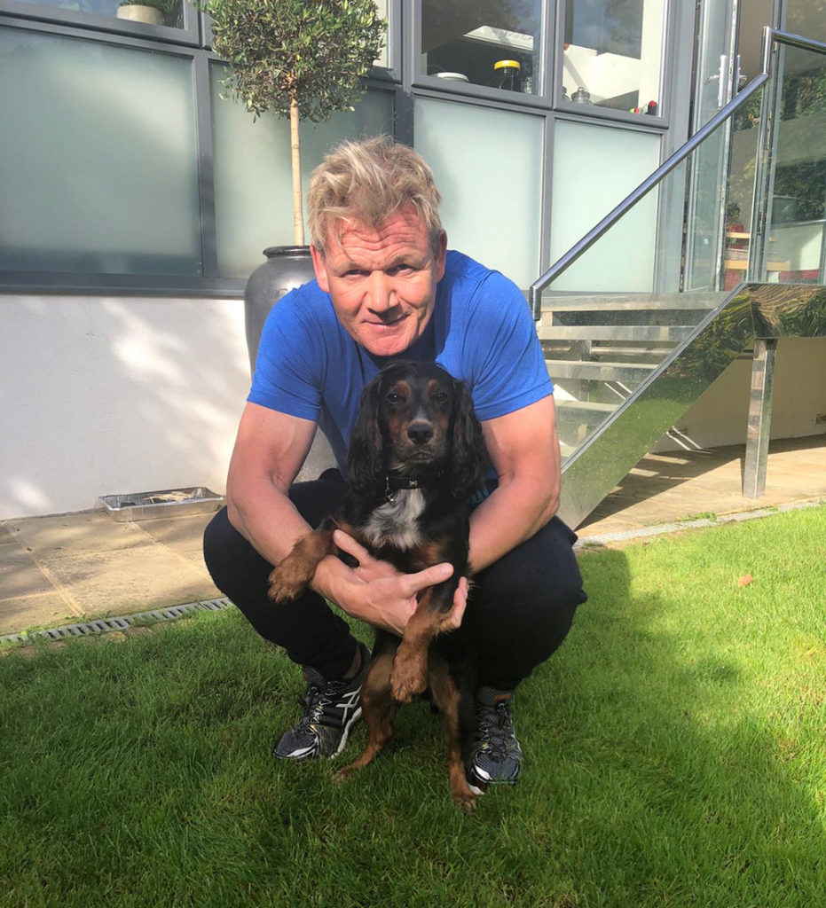 Gordon and Tana Ramsay at Ledbury Lodge Kennels - Ledbury Lodge Kennels