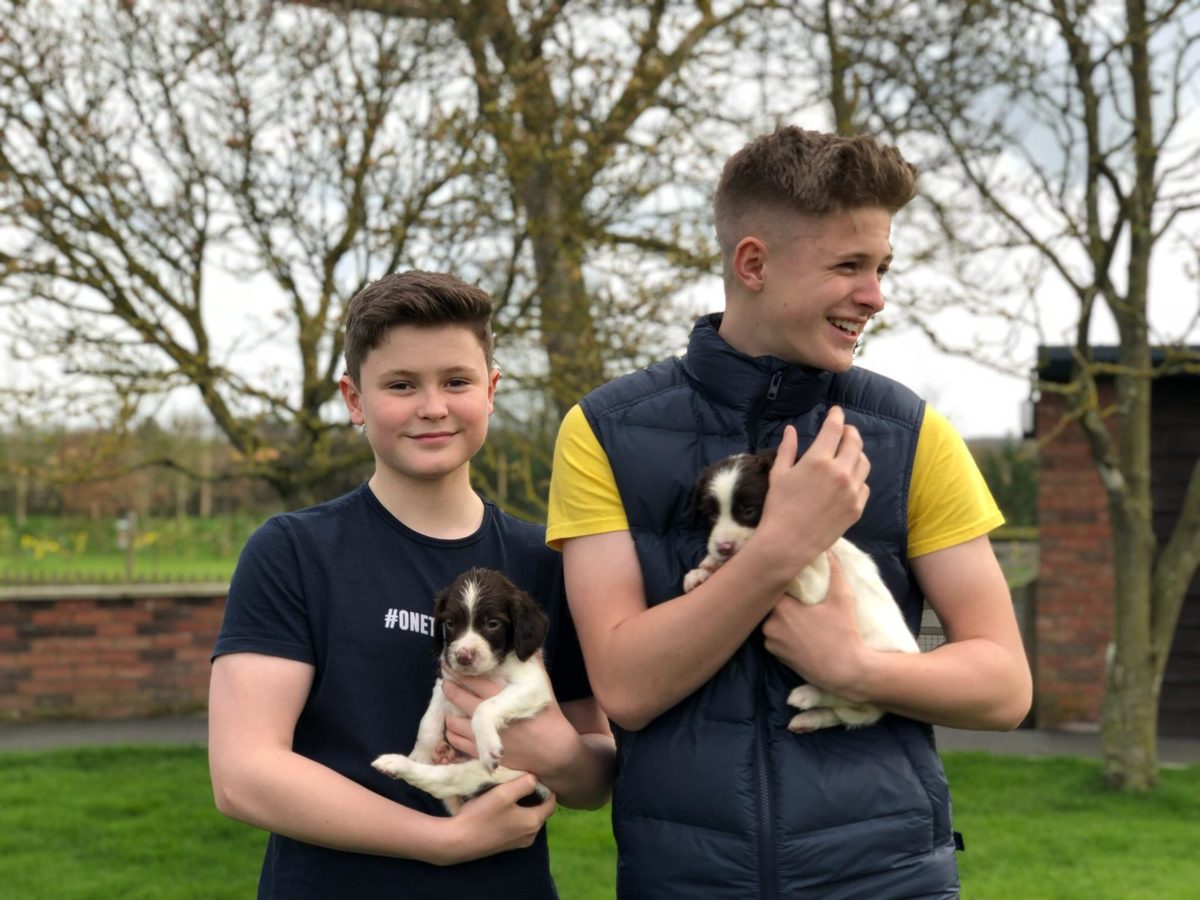 The Story Behind Ledbury Lodge Kennels - Ledbury Lodge Kennels