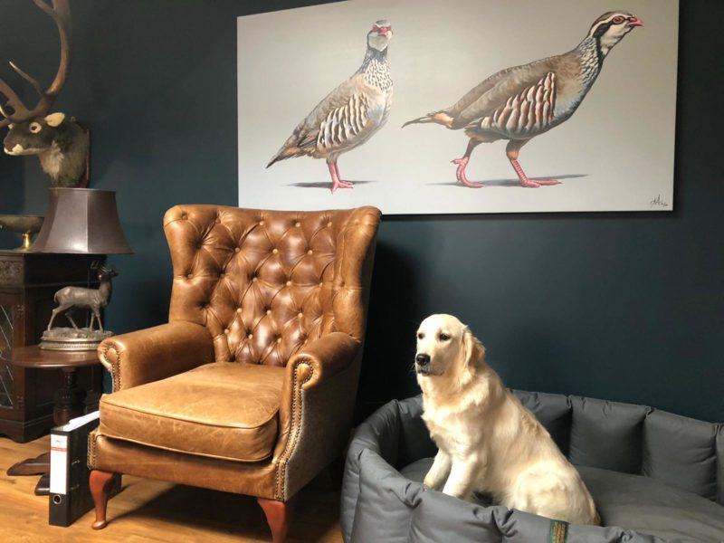 The Story Behind Ledbury Lodge Kennels - Ledbury Lodge Kennels