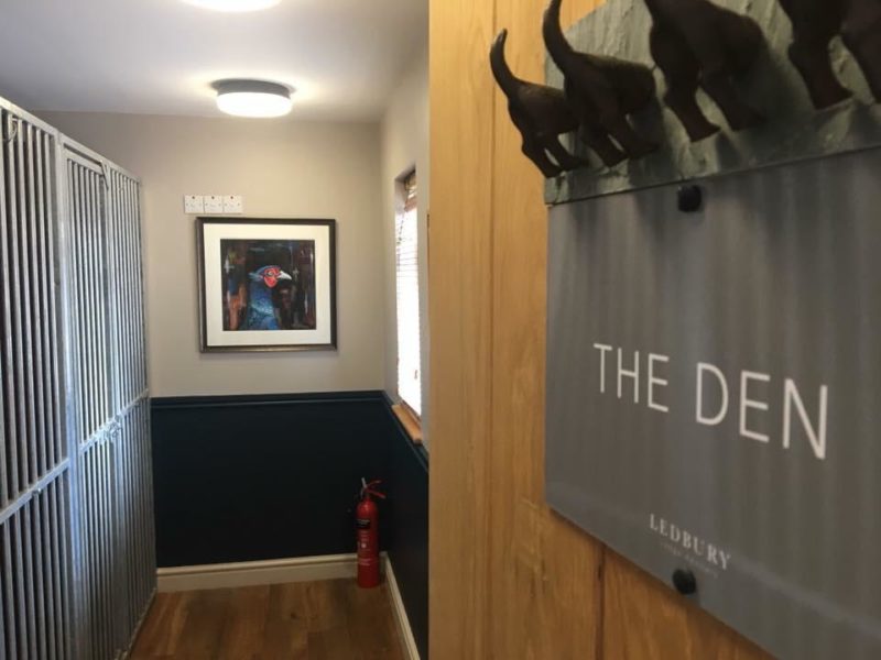 The Story Behind Ledbury Lodge Kennels - Ledbury Lodge Kennels